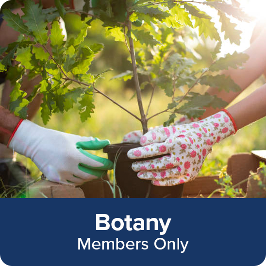 Florida Explorers Association - Learning Opportunities